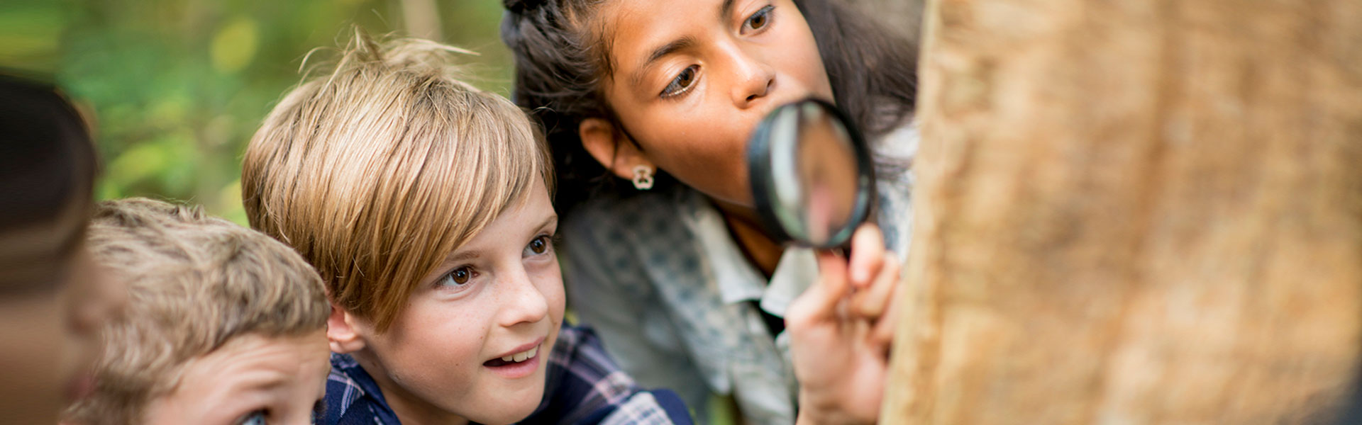 Elementary School Programs | Pre-College Programs | Ole Miss